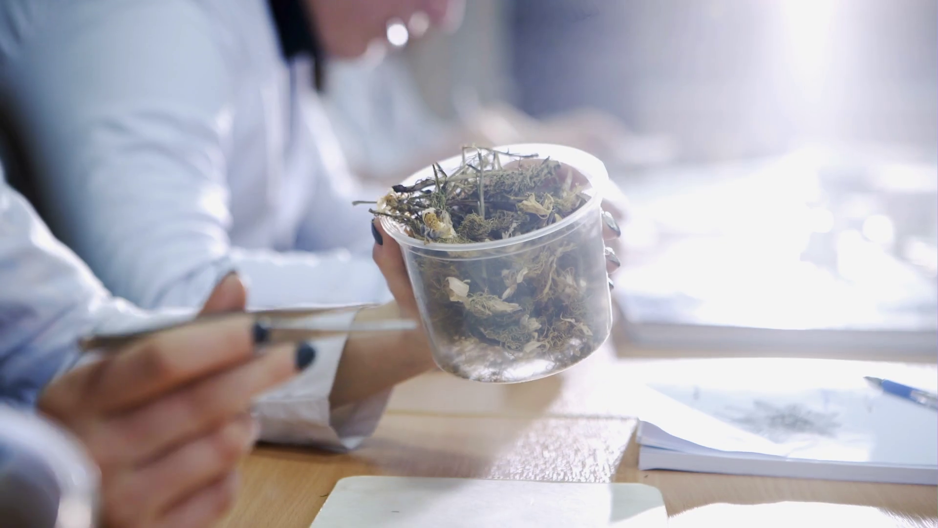 Scientist Making Specimen Stock Footage SBV-347625980 - Storyblocks