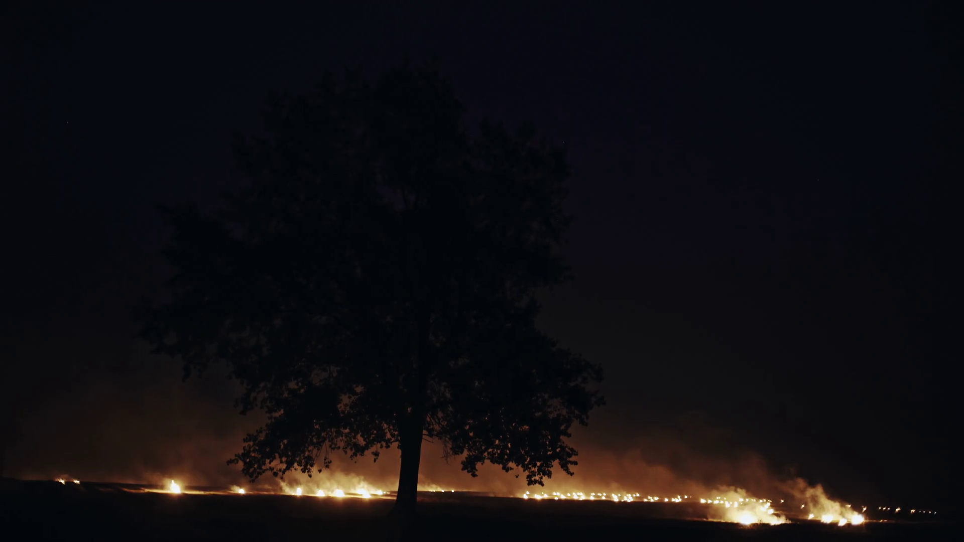Burning Fields In Night Time Stock Footage SBV-347654846 - Storyblocks