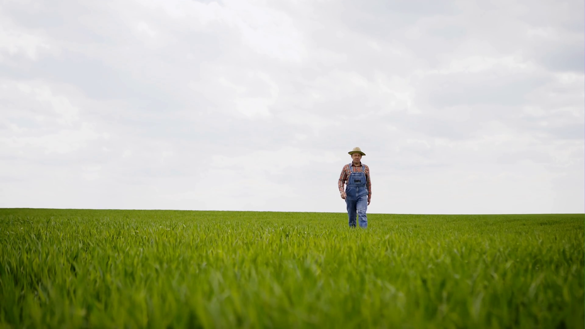 Senior Farmer In Field Looking Into Distance Stock Footage SBV ...