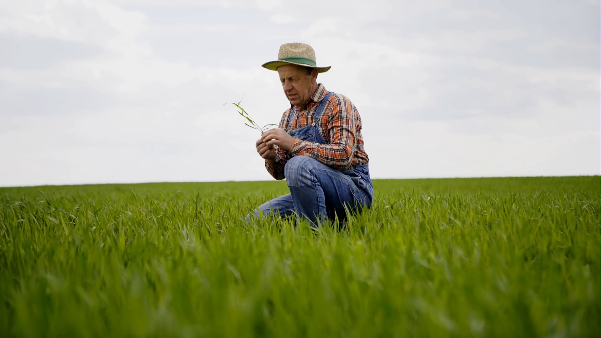 Farmer In Field Planting Stock Footage SBV-347660309 - Storyblocks