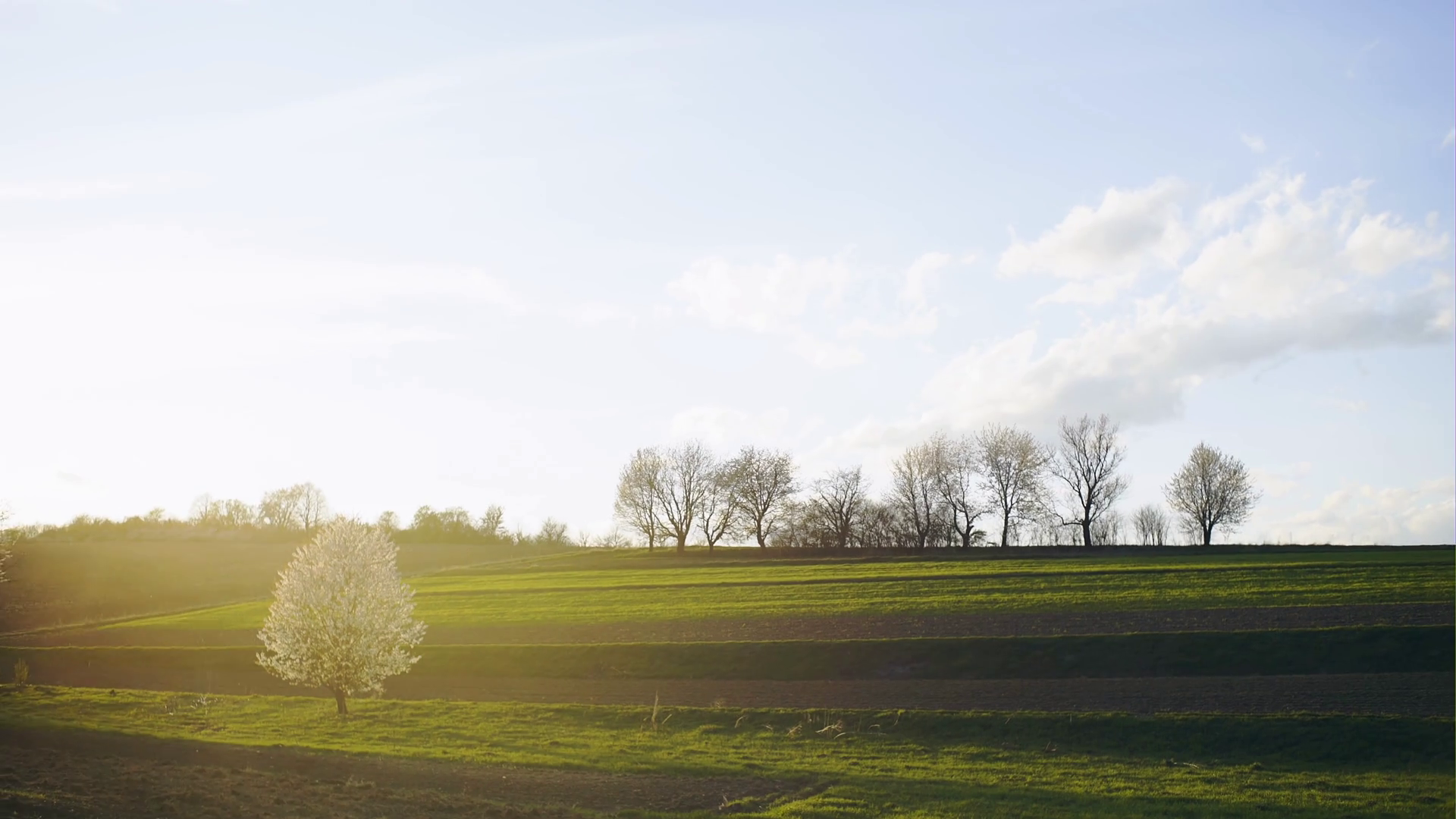 Scenic Spring Landscape With Sunny Skies Stock Footage SBV-347668738 ...