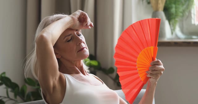 Hot Weather Stock Video Clips & Footage - Storyblocks