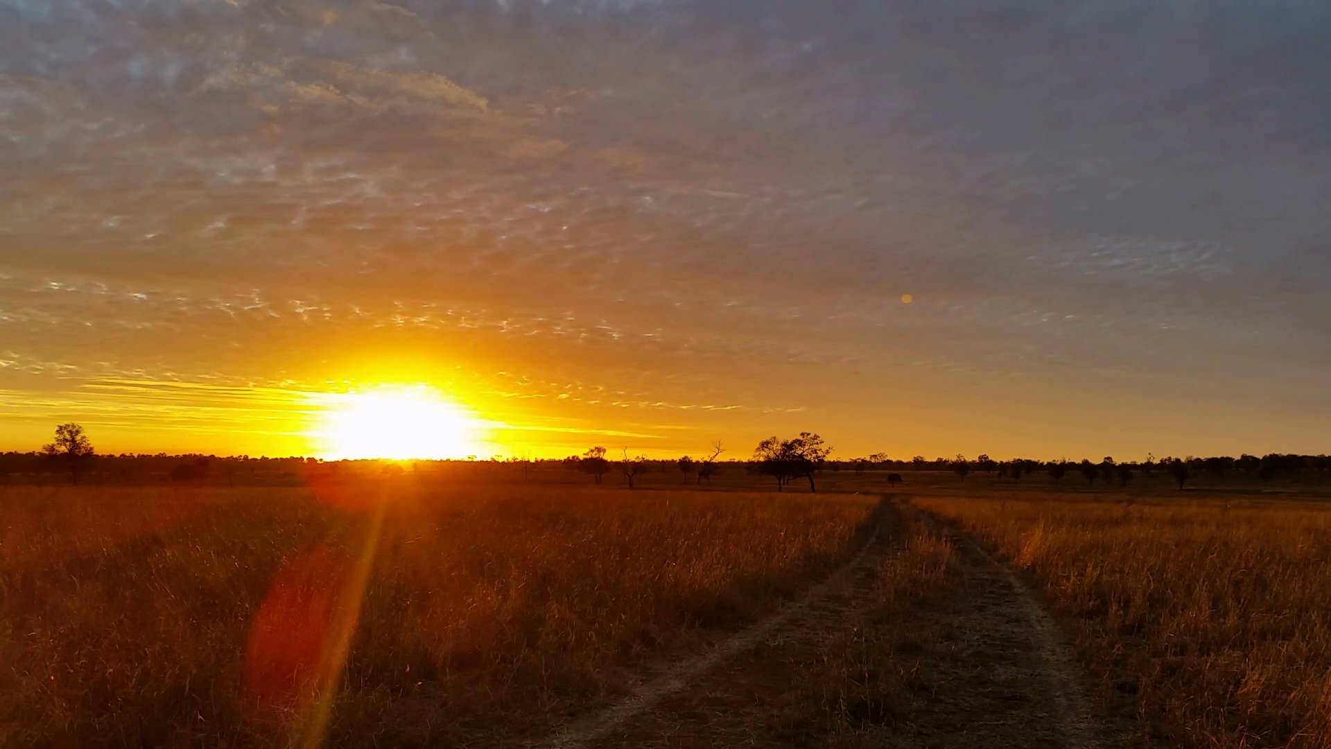 Australian Landscape Dirt Road Sunset / Sunrise Stock Video Footage ...