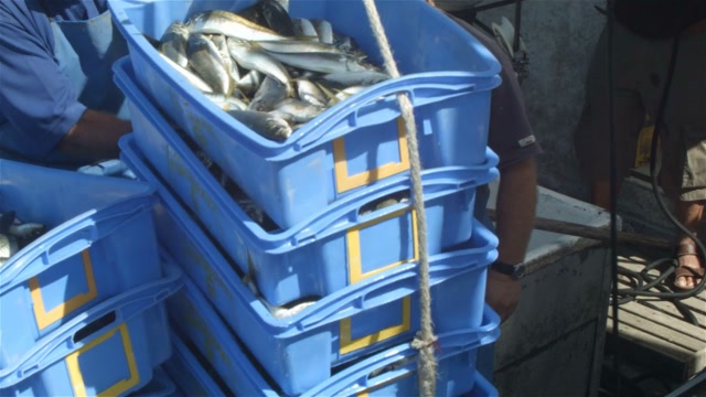 Commercial Fishing | Lifestyle stock footage - Storyblocks