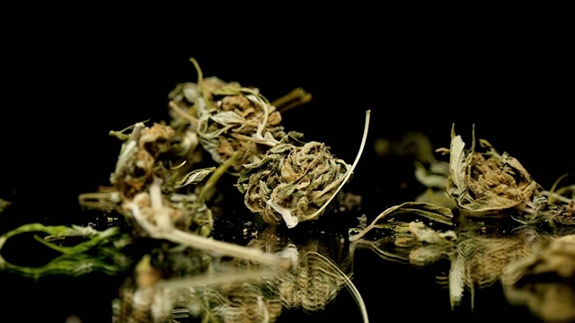 Falling Weed Stock Footage: Royalty-Free Video Clips - Storyblocks