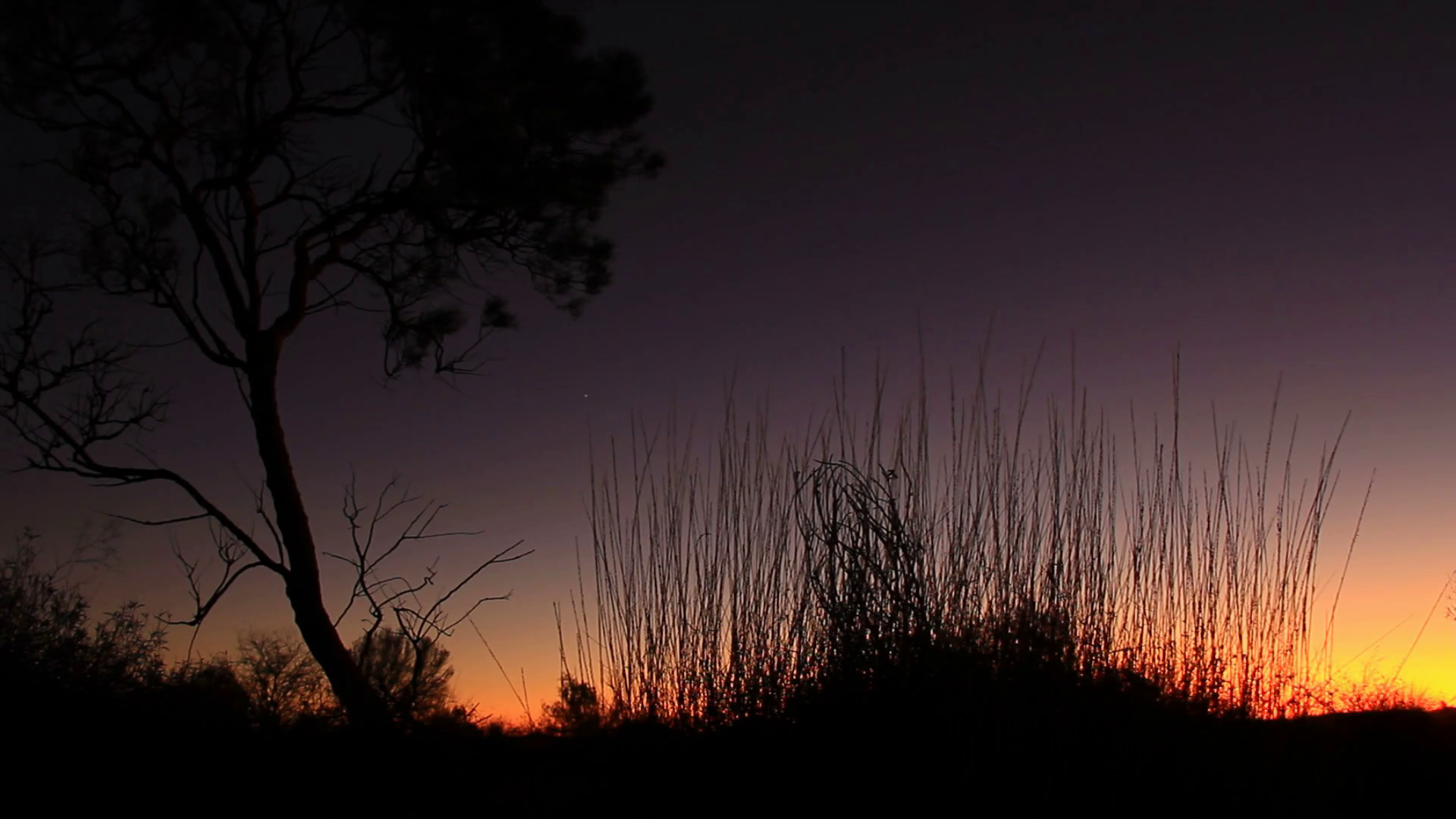 Outback Australia Landscape Red Desert Sand Stock Footage SBV-301507296 ...
