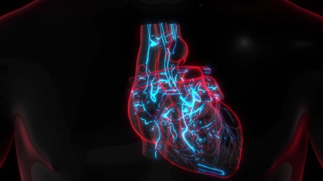 Heart Animation Stock Footage: Royalty-Free Video Clips - Storyblocks