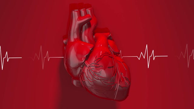 Minimally Invasive Cardiac Animation Stock Footage: Royalty-Free Video ...