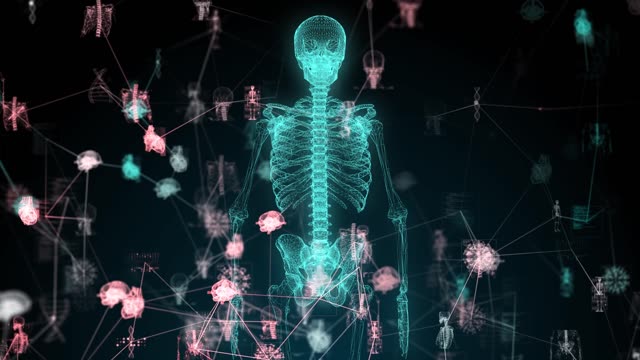 Human Body Animation Stock Footage: Royalty-Free Video Clips - Storyblocks