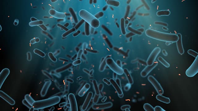 Bacterial Infection Stock Footage: Royalty-Free Video Clips - Storyblocks