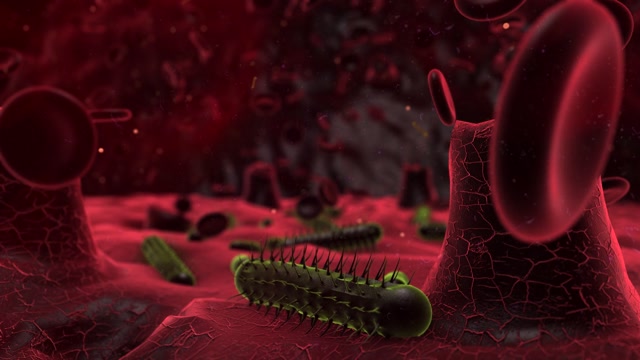 Animated Bacteria Stock Footage: Royalty-Free Video Clips - Storyblocks