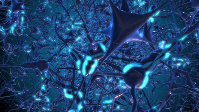 Brain Signal Stock Footage: Royalty-Free Video Clips - Storyblocks