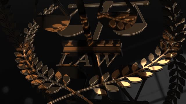 Lawyer Animation Stock Footage: Royalty-Free Video Clips - Storyblocks