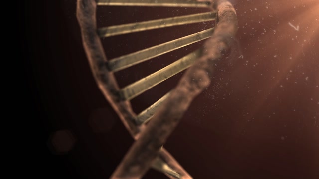 Evolution Of Life Stock Footage: Royalty-Free Video Clips - Storyblocks