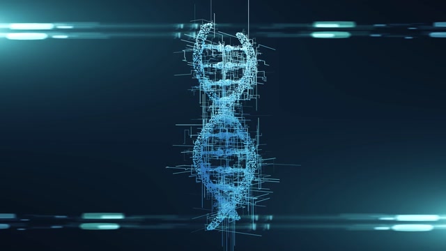 Human Evolution Stock Video Clips & Footage - Storyblocks