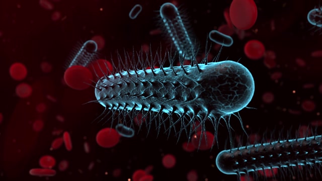 Bacterium Microscope Stock Footage: Royalty-Free Video Clips - Storyblocks