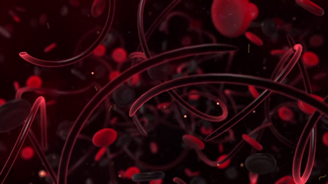 Blood Animation Stock Footage: Royalty-Free Video Clips - Storyblocks