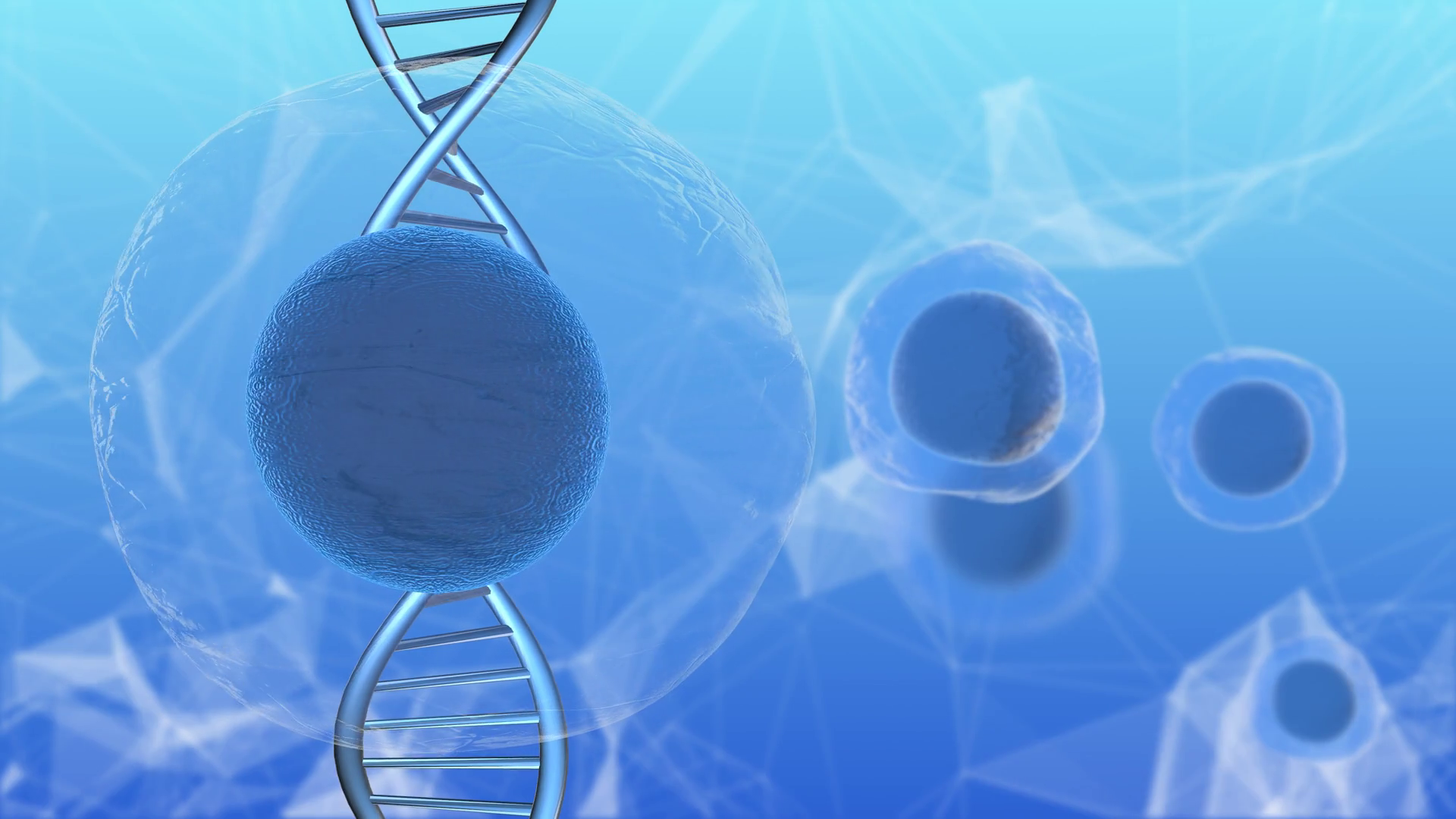 Stem Cell Replacement Cells Tissues To Treat Stock Motion Graphics SBV ...