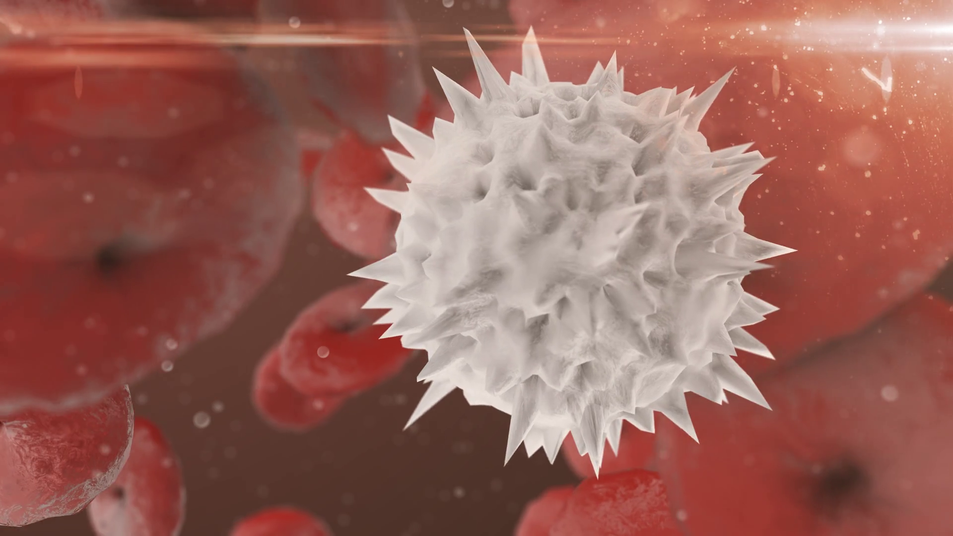 White Blood Cell Red Blood Cell Microscope Stock Footage SBV-320855192 ...