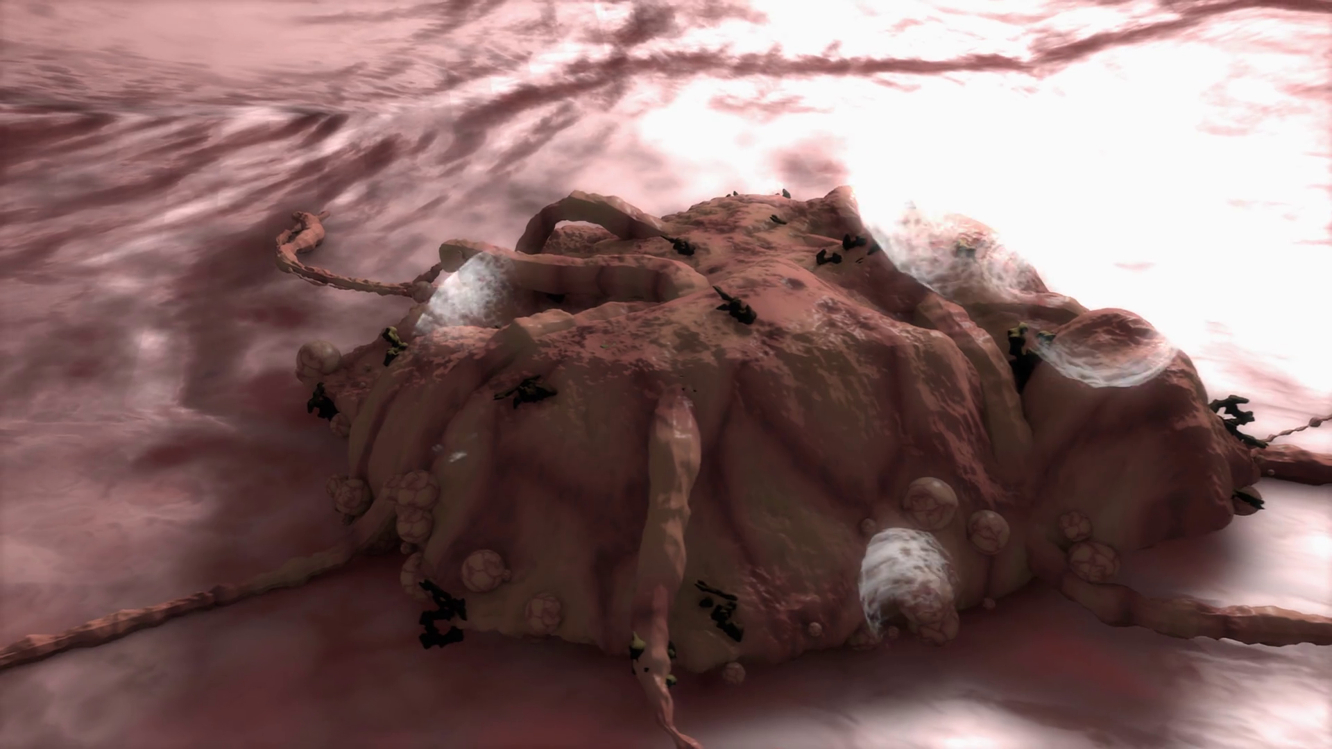 3d Rendering Cancer Cell Stock Motion Graphics SBV-307571615 - Storyblocks