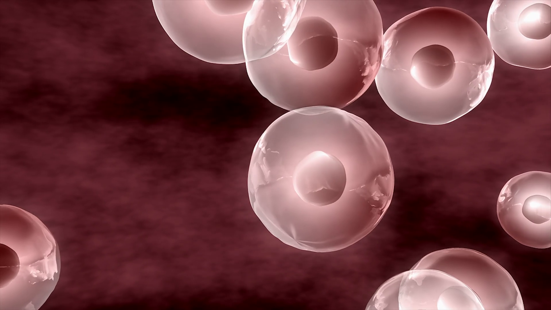 Human Dna Cells Close Up 3d Clinical Medical Stock Motion Graphics SBV ...