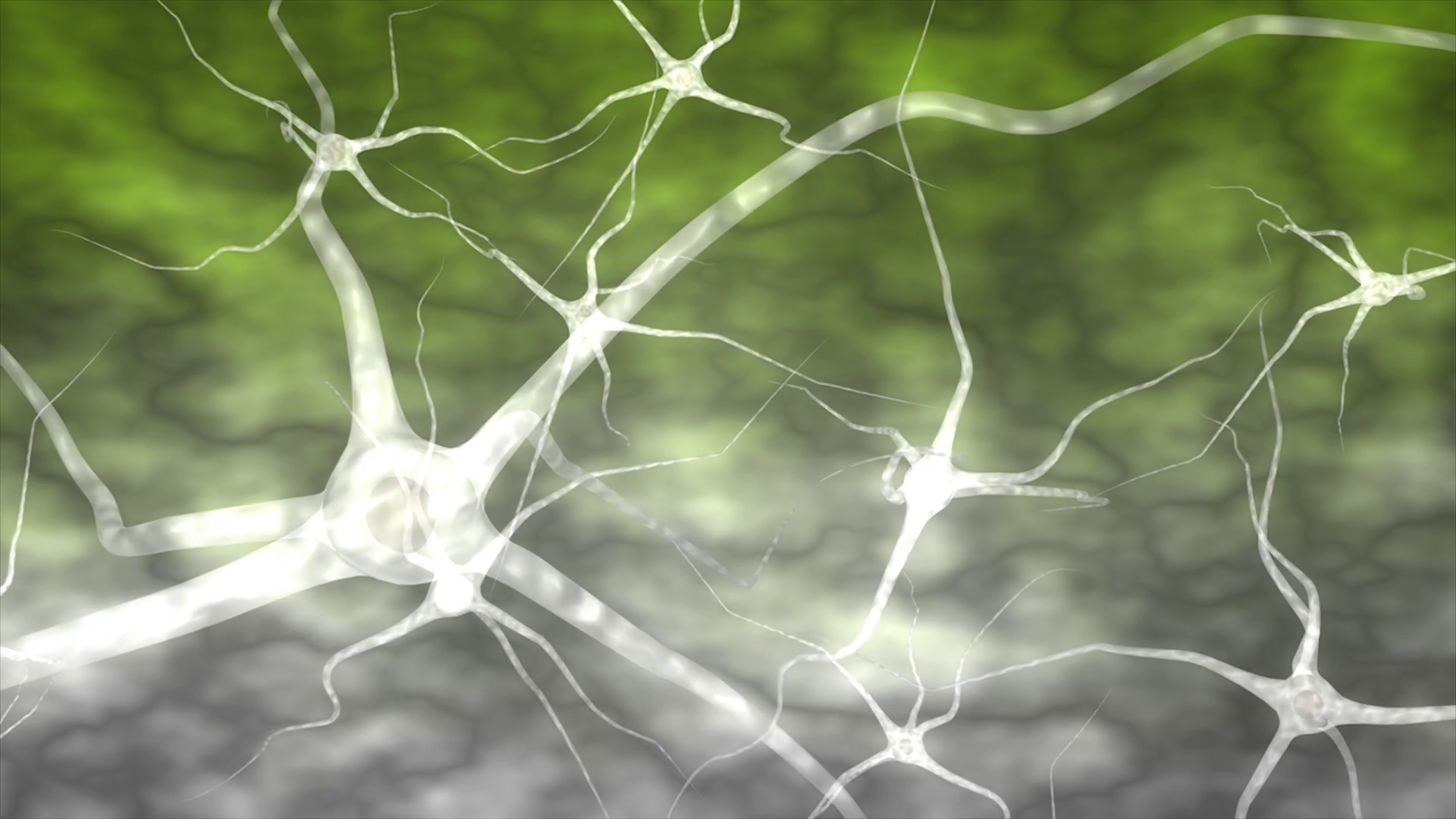 Human Brain Neurons Neuroscience Mind Micro Stock Motion Graphics SBV ...