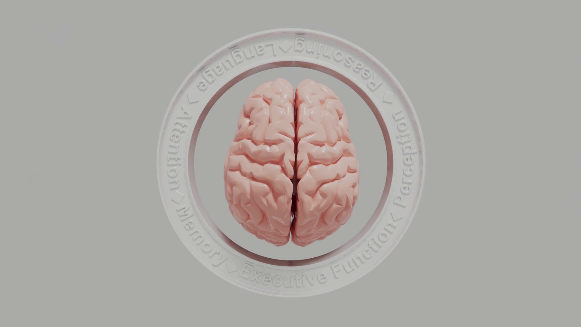 The Human Brain Core Functions Stock Motion Graphics SBV-352128051 ...
