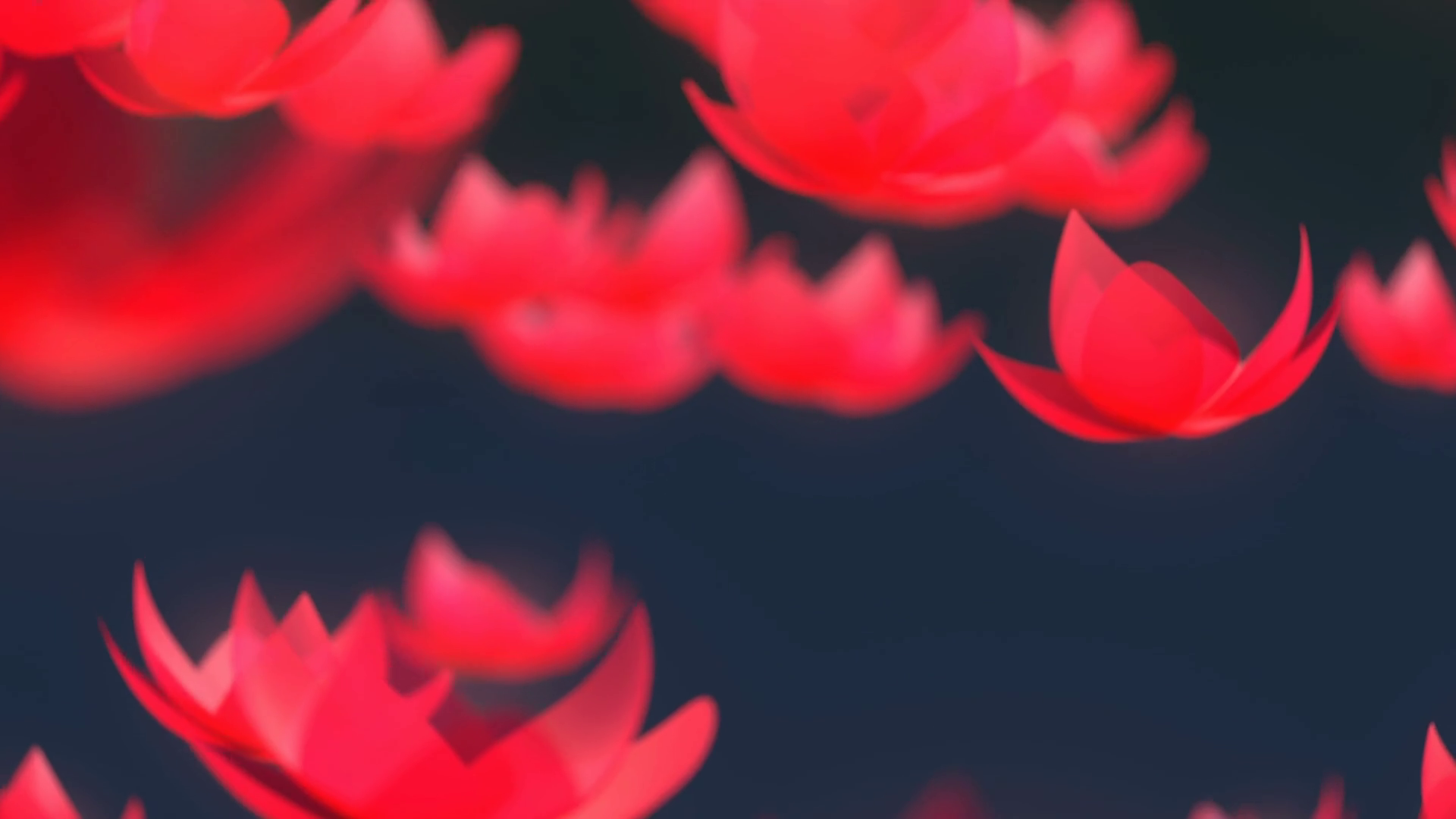 Lotus flower falling animation Motion Background - Storyblocks