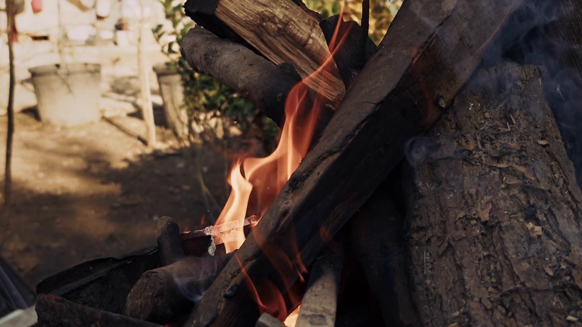 Burning Oak Wood In Farmhouse Garden Stock Footage SBV-351800366 ...