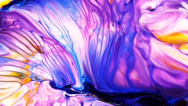 Colors Stock Footage: Royalty-Free Video Clips - Storyblocks Colors Stock Footage: Royalty-Free Video Clips - Storyblocks