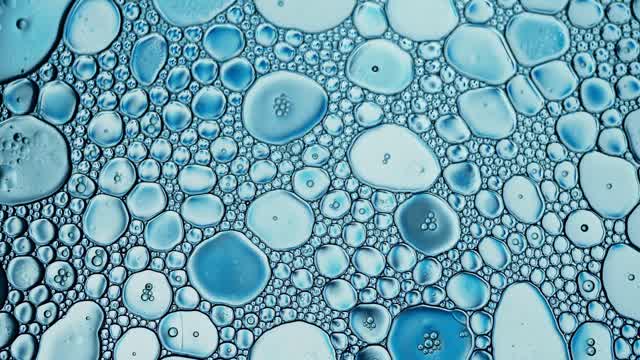 Tissue Cell Stock Footage: Royalty-Free Video Clips - Storyblocks