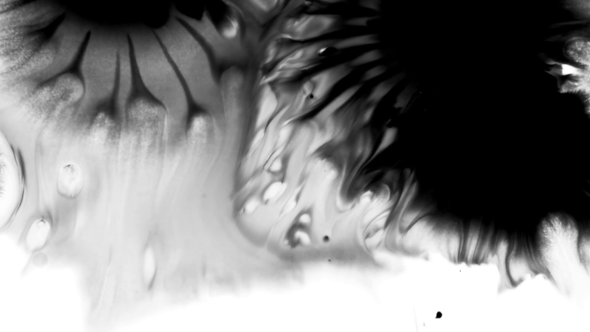 Abstract Ink Drops On Wet Paper 43 Stock Video Footage 00:36 SBV ...