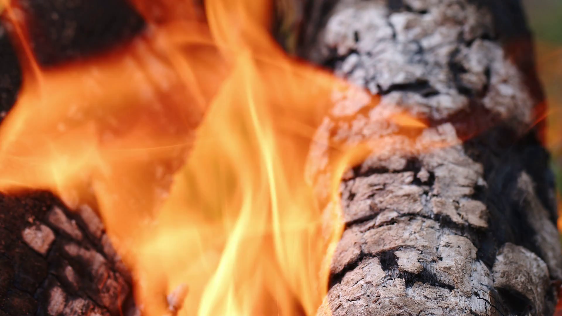Oak Wood Fire In Ash Smoke 40 Stock Footage SBV-346817759 - Storyblocks