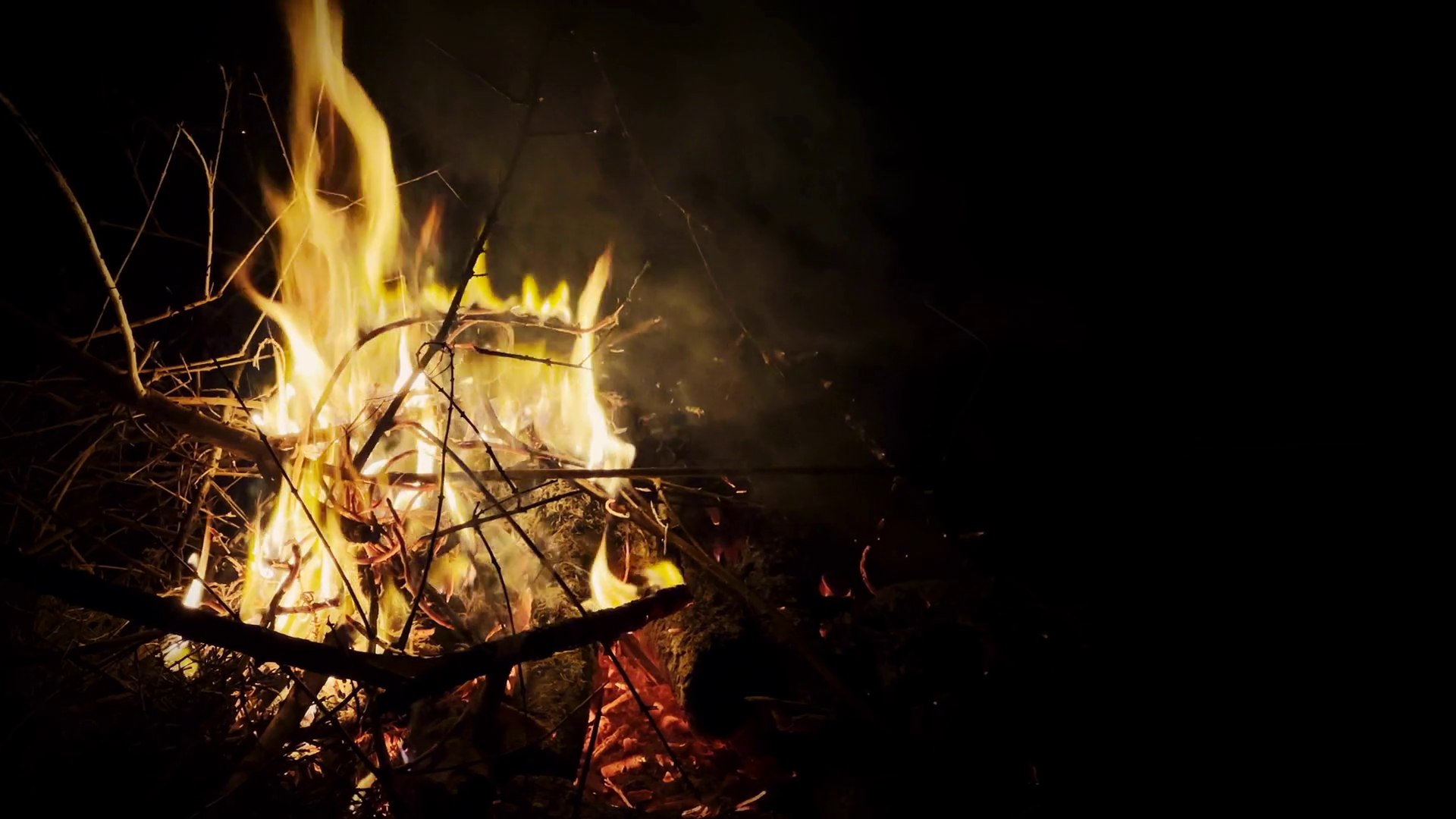 Wood Fire Burning Like Hell Stock Footage SBV-348756747 - Storyblocks