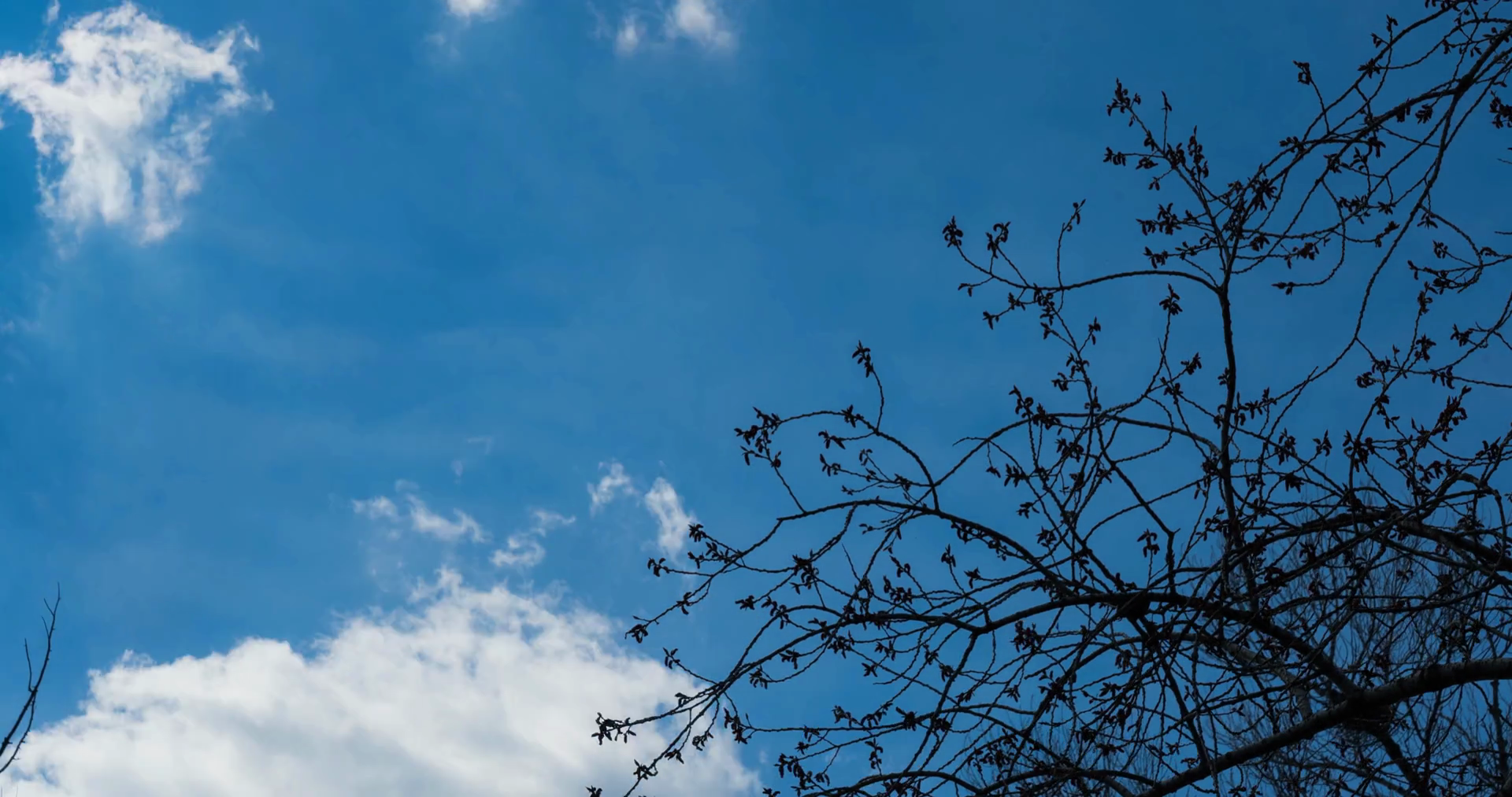 Timelapse Spring Sky With Floating Clouds Stock Footage SBV-307055289 ...