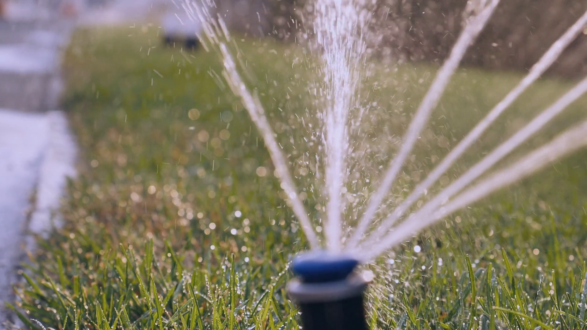 Close Up Lawn Watering In Town Stock Footage SBV-317005319 - Storyblocks