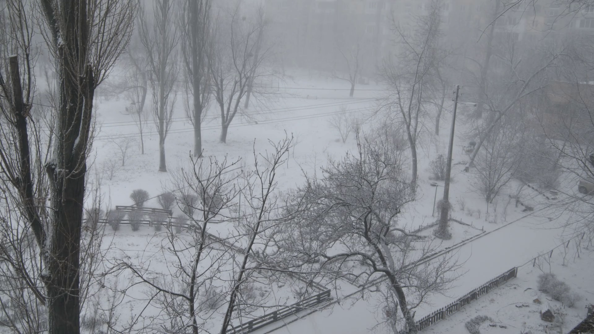 Winter Snow Blizzard Town Trees Fast Time Stock Footage SBV-311855887 ...