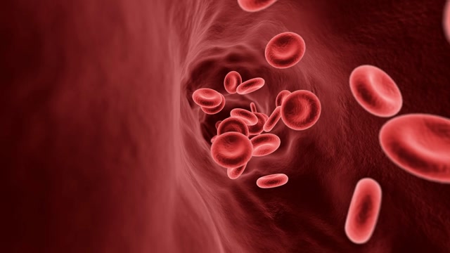 Blood Cells | Medical motion backgrounds - Storyblocks