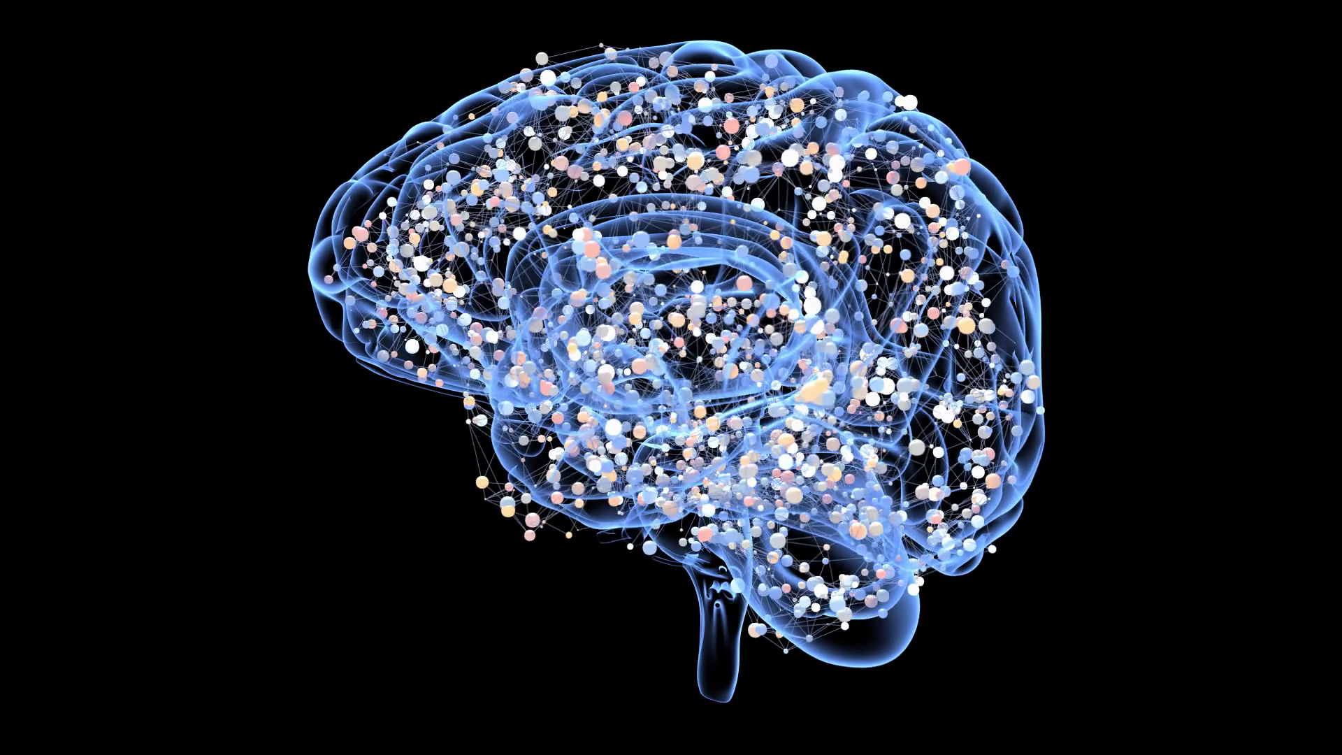 Brain Centers Of Activity Stock Motion Graphics SBV-317130058 - Storyblocks