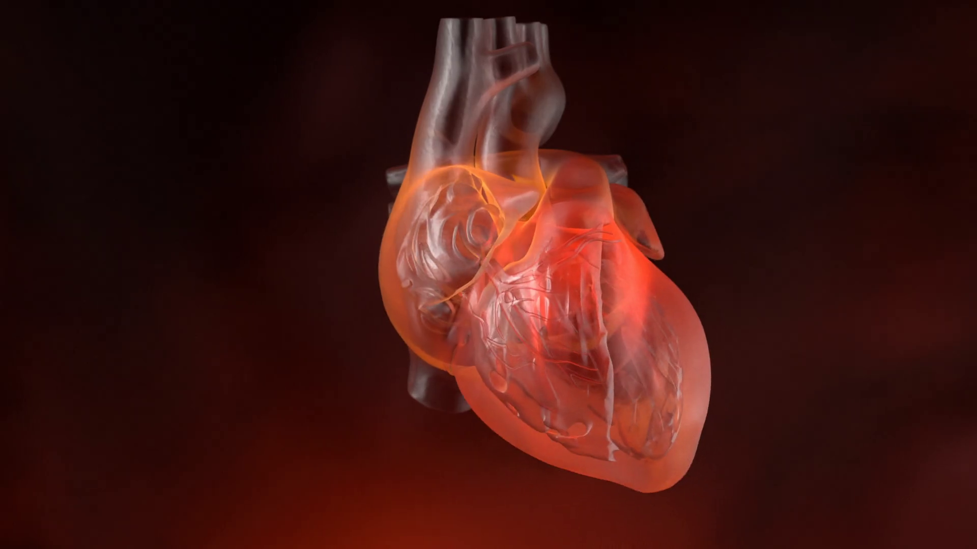 Heartbeat Medical Animation Stock Motion Graphics SBV-347764677 ...