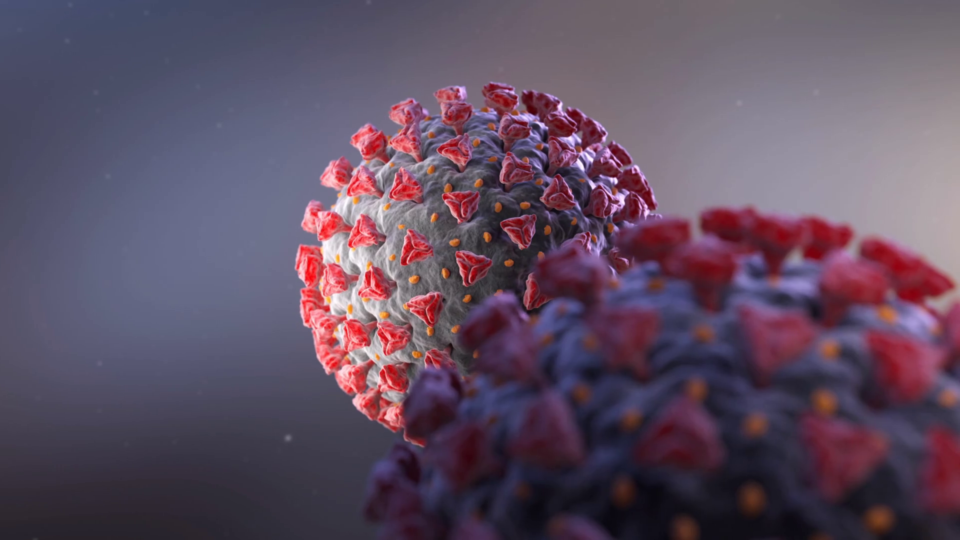 Illustration Of Coronavirus Pathogen Attacks Stock Motion Graphics SBV ...