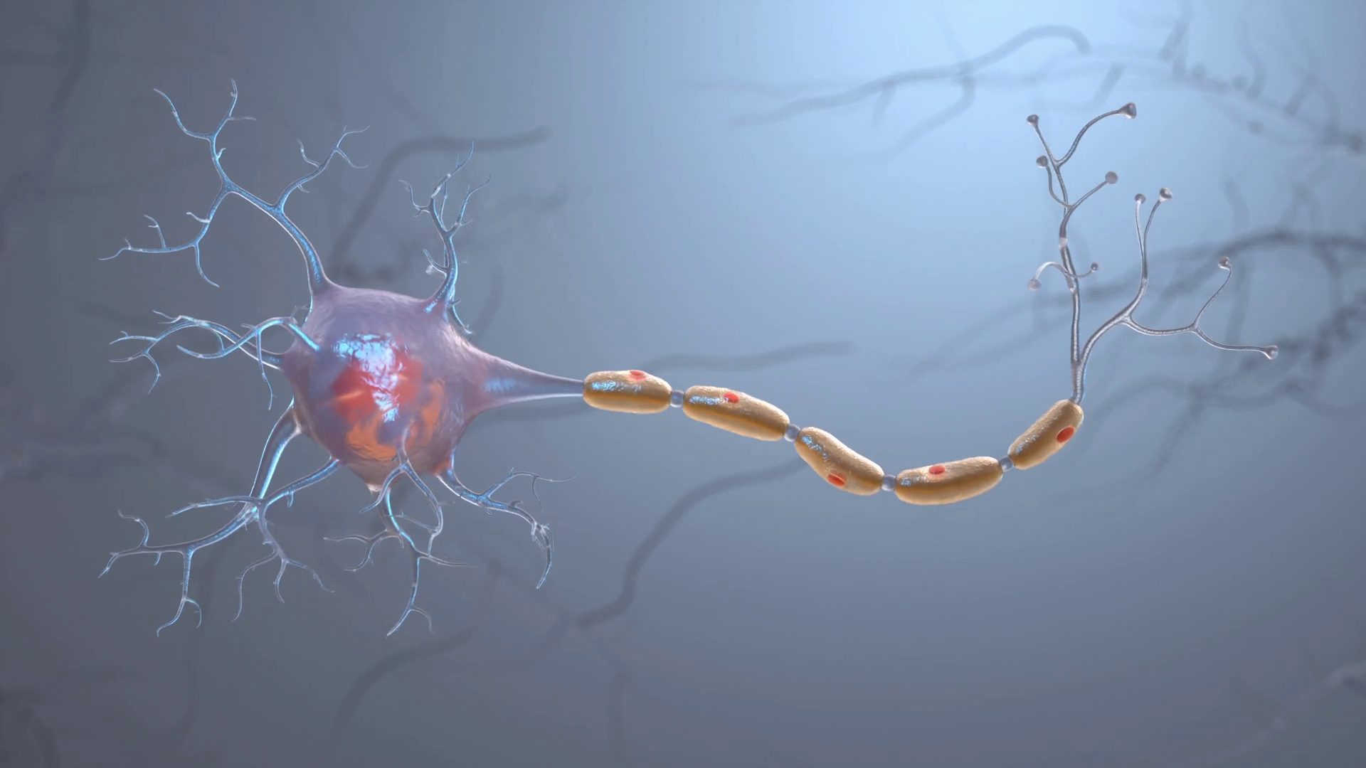 Neuron Cell Overview Stock Motion Graphics SBV-348597323 - Storyblocks