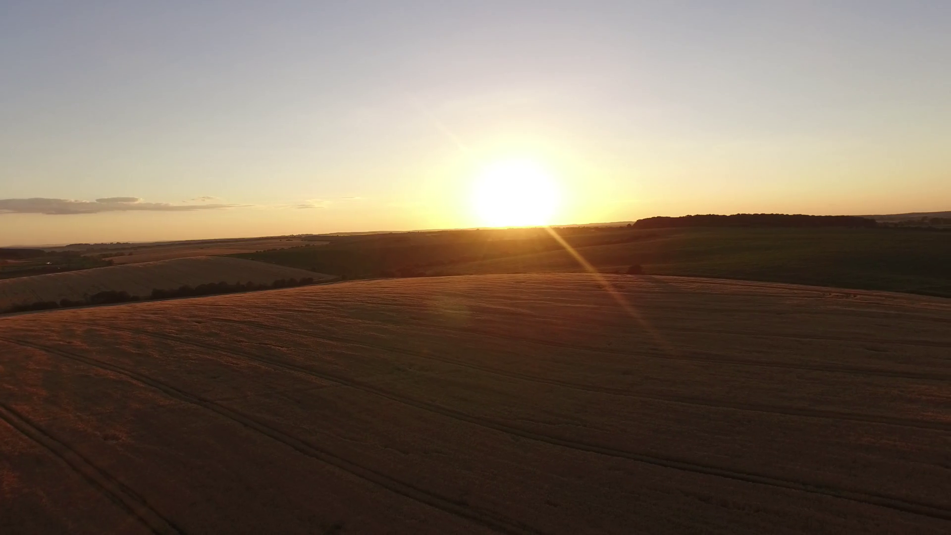 AERIAL: Flight Over the Wheat Field in Sunset Evening 4k Stock Video ...