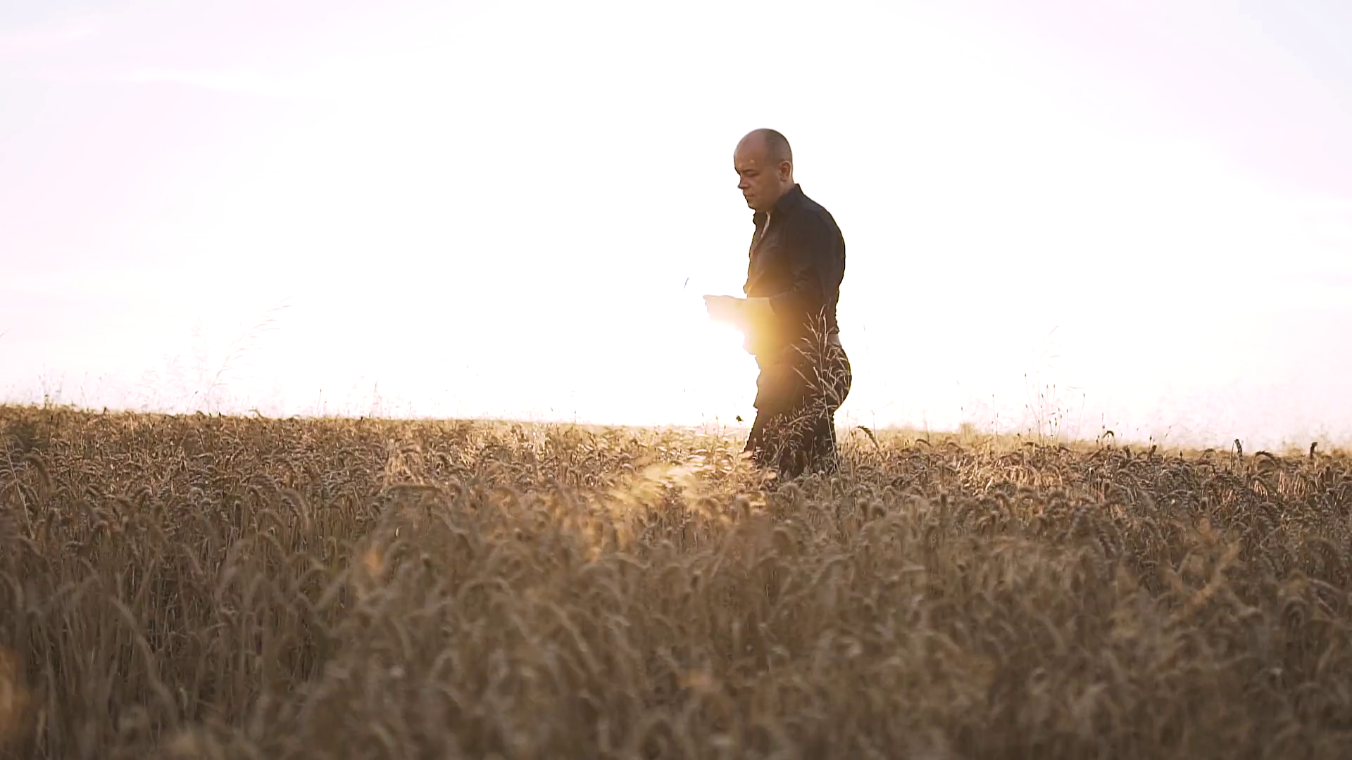 Man Walking Through Wheat Field Stock Footage SBV-316719789 - Storyblocks