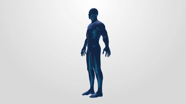 Male Body Animation | Business and Professions motion backgrounds ...