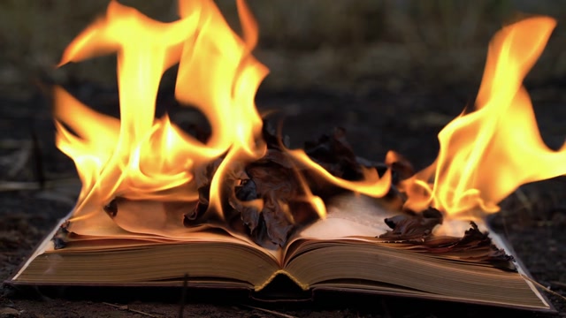 Bible Burning Stock Footage: Royalty-Free Video Clips - Storyblocks