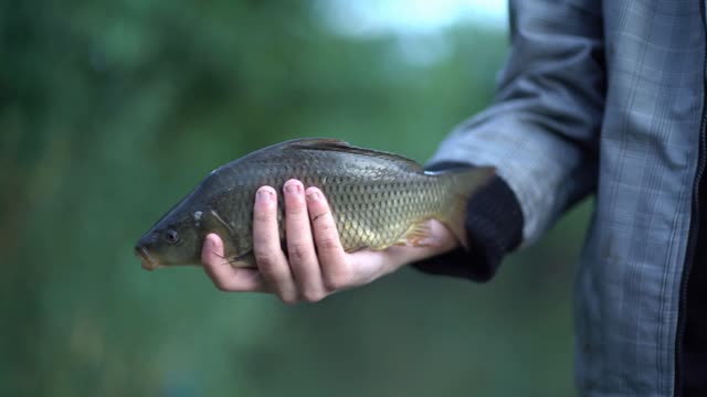 Fishing Hands Stock Footage: Royalty-Free Video Clips - Storyblocks