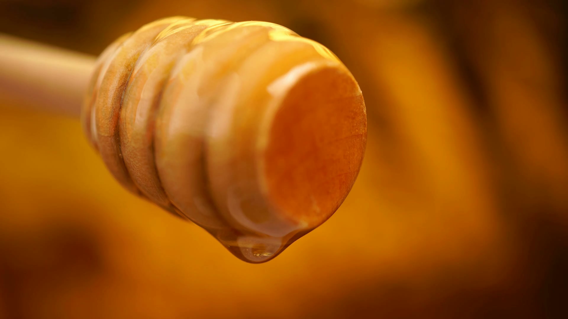Footage Organic Honey Dripping From Wooden Stock Footage SBV-326247897 ... Footage Organic Honey Dripping From Wooden Stock Footage SBV-326247897 ...