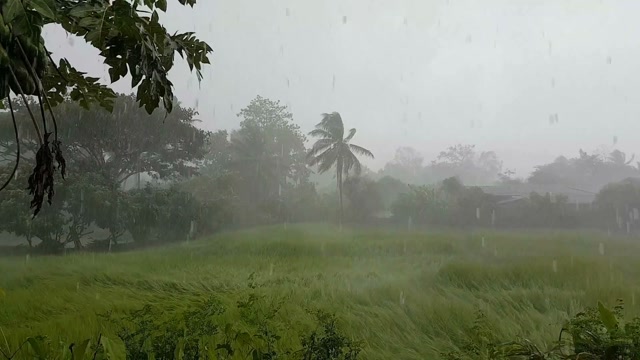 Rain One Hour Stock Footage: Royalty-Free Video Clips - Storyblocks