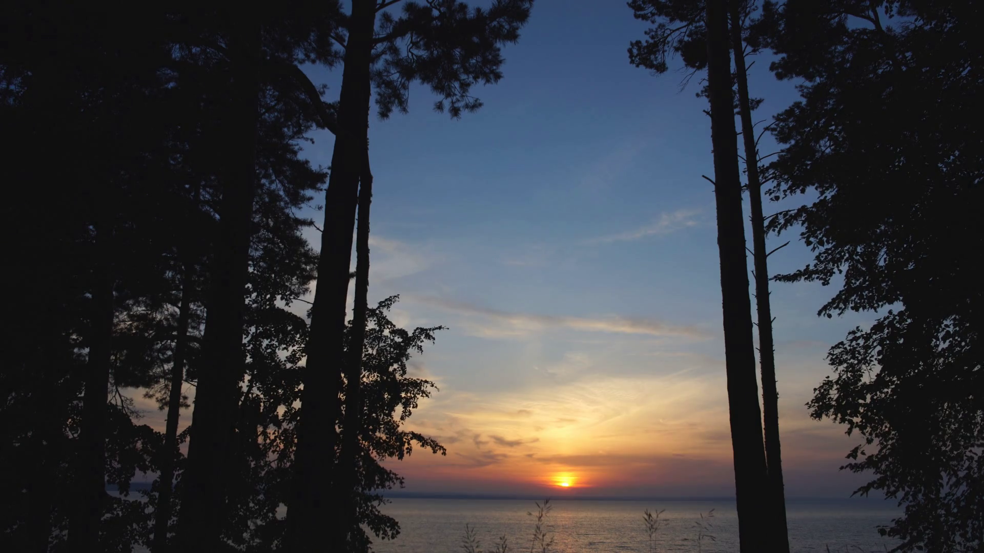 Beautiful Sunset Shot From Forest Stock Footage SBV-309634921 - Storyblocks